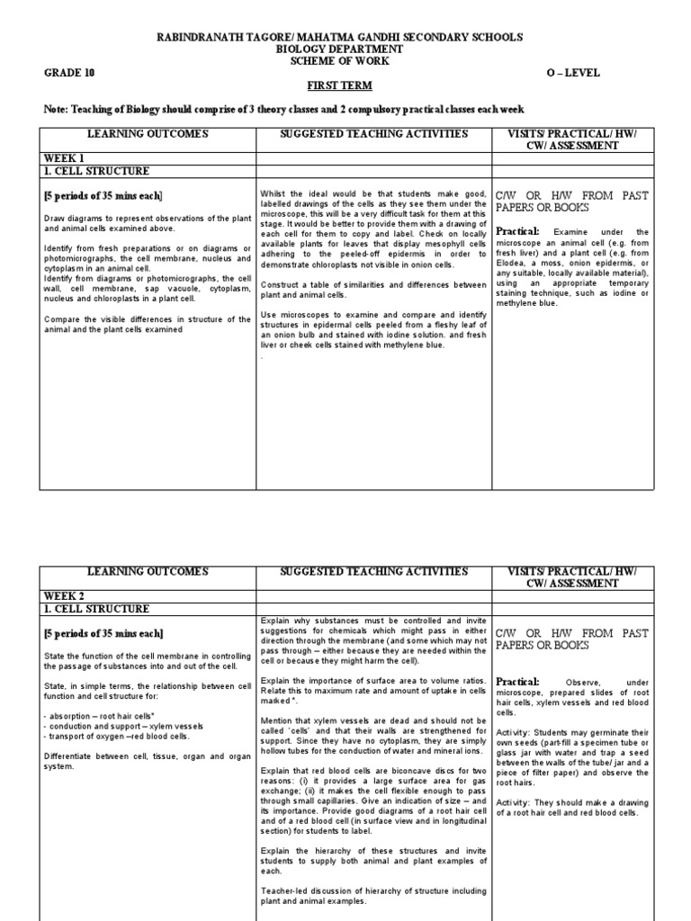 NEW GRADE 10 Scheme of Work | PDF | Photosynthesis | Osmosis