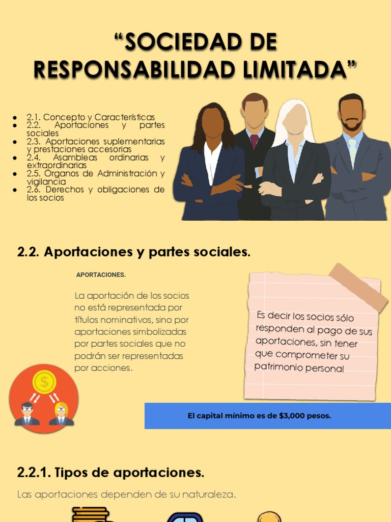 Sociedad de Responsabilidad Limitada | PDF | Sociedad de responsabilidad limitada | Dividendo