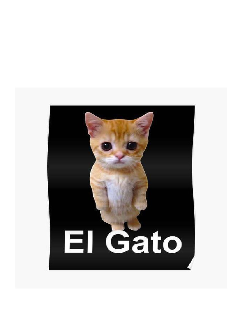 Gato | PDF