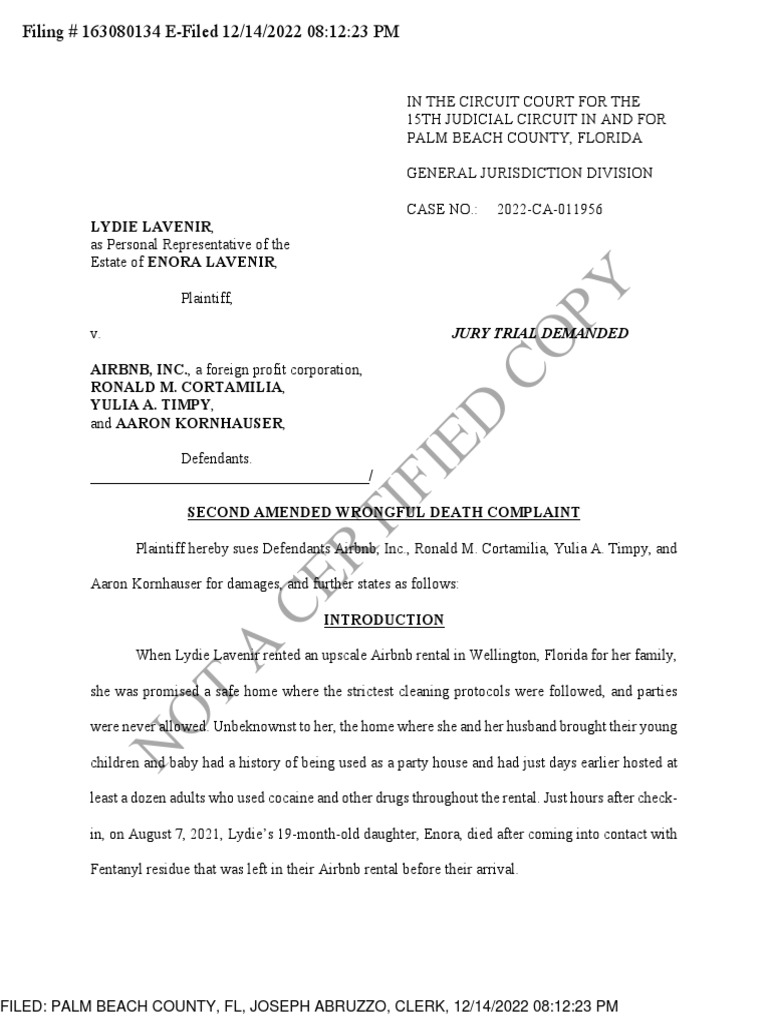 Legal Document Analysis | PDF