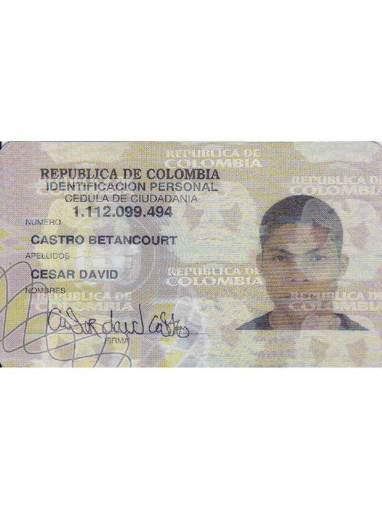 Cedula Cesar PDF | PDF