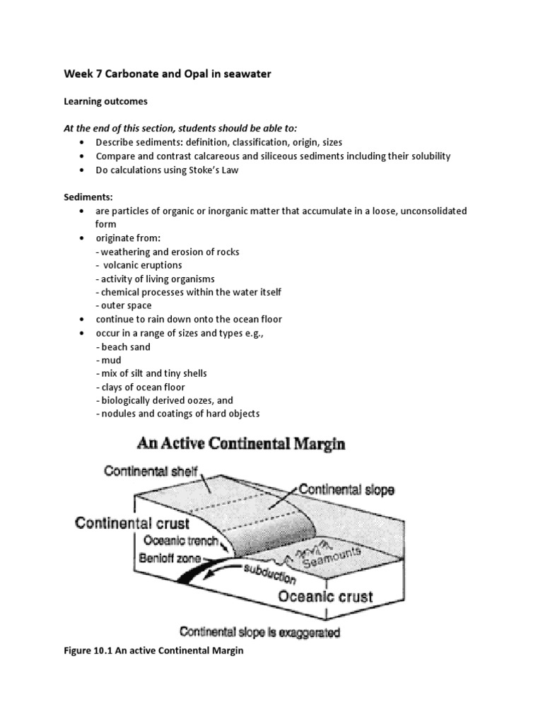 Marine Sediments Study Guide | PDF | Seabed | Oceanography