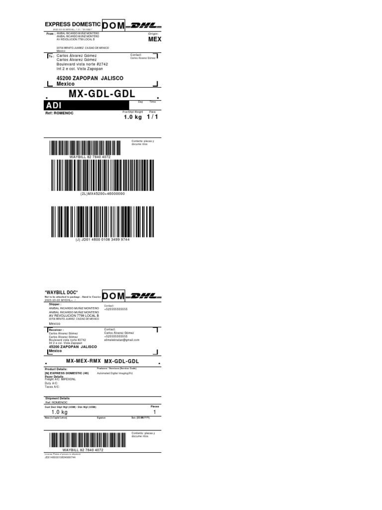 Shipment Waybill for Domestic Express Delivery of Documents and Plates ...