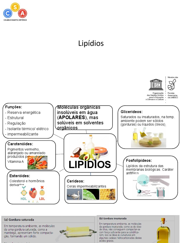 Funções e Tipos de Lipídios | PDF | Lipídio | Gordura