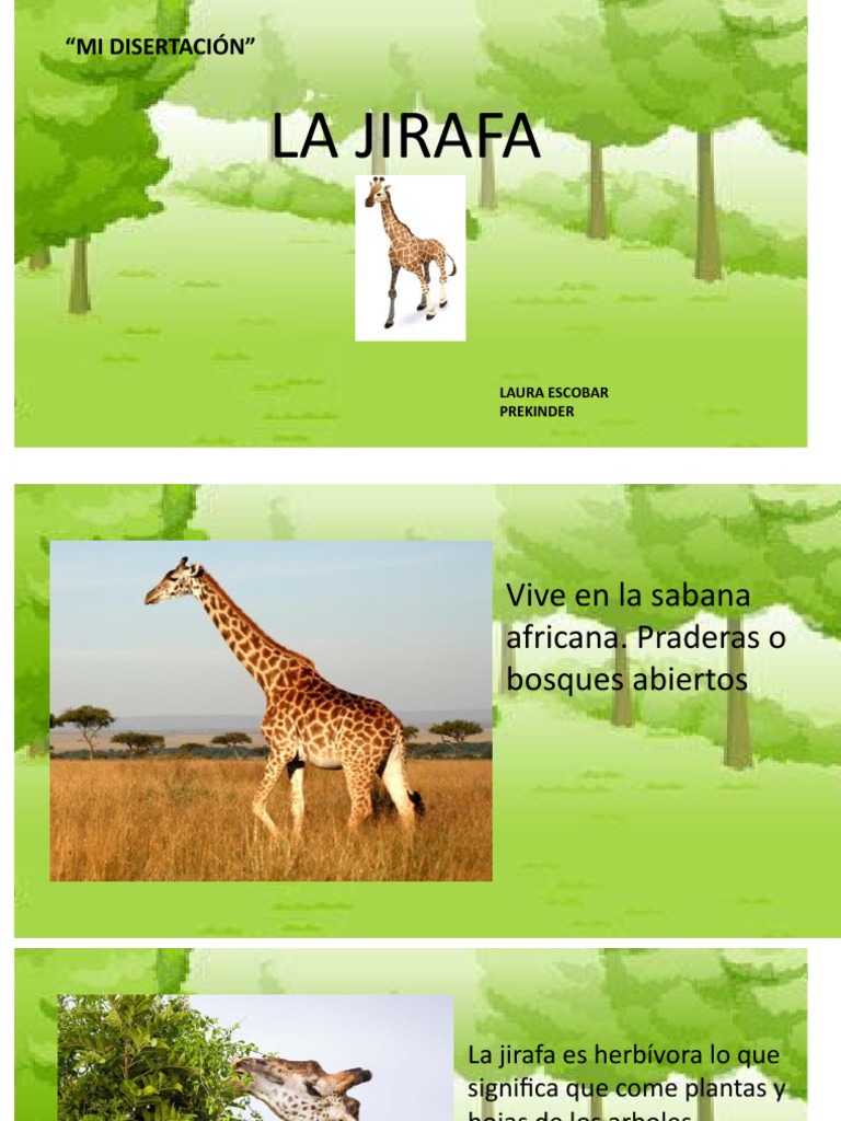 Disertacion Jirafa | PDF