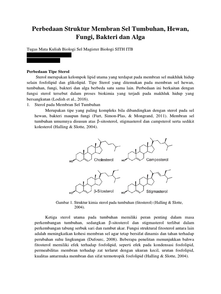 [BIOSEL LANJUT] Perbedaan Membran Sel Tumbuhan, Hewan, Bakteri, Fungi dan Alga.pdf | PDF