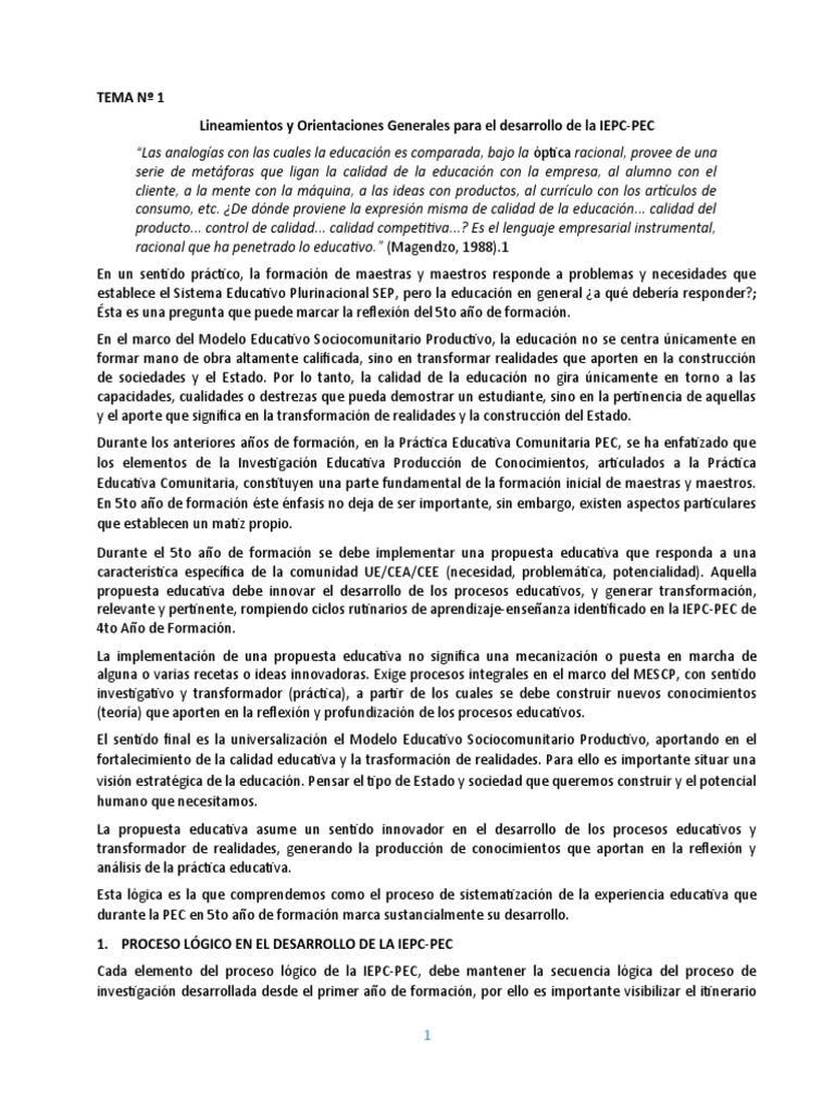 1 Lineamientos y Orientaciones para El Desarrollo de La Pec | PDF | Experiencia | Realidad
