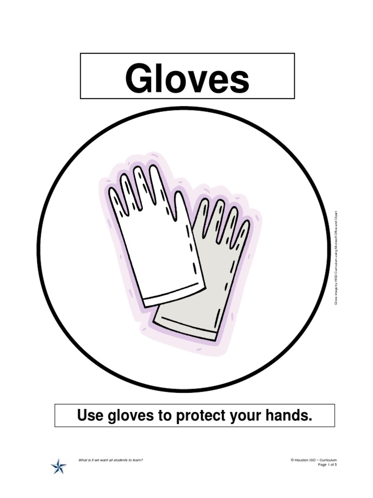 Classroom Science Safety Posters PDF | PDF