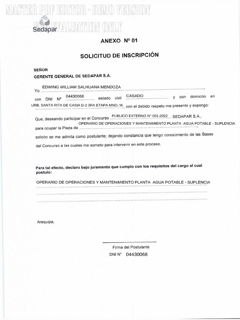 Convocatoria Sedapar Formato Lleno PDF | PDF