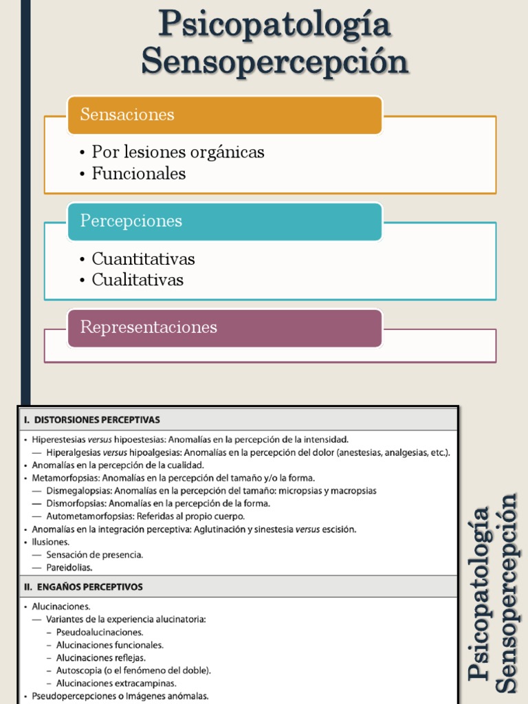 Clase 3 C PDF | PDF | Alucinación | Percepción