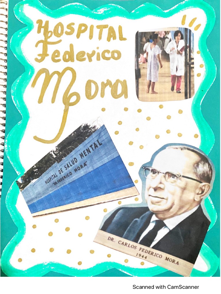 Análisis-Hospital Federico Mora-Maydeli | PDF