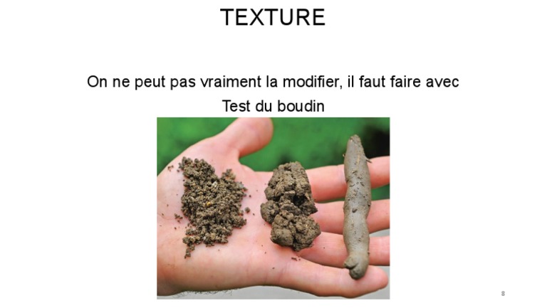 Test Du Boudin | PDF
