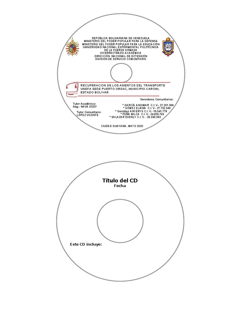 Formato de CD para El Informe de Servicio Comunitario | PDF