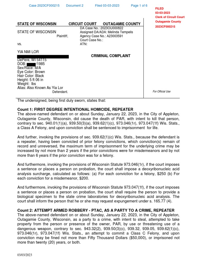 Wisconsin Homicide Case Details | PDF | Felony | Misdemeanor