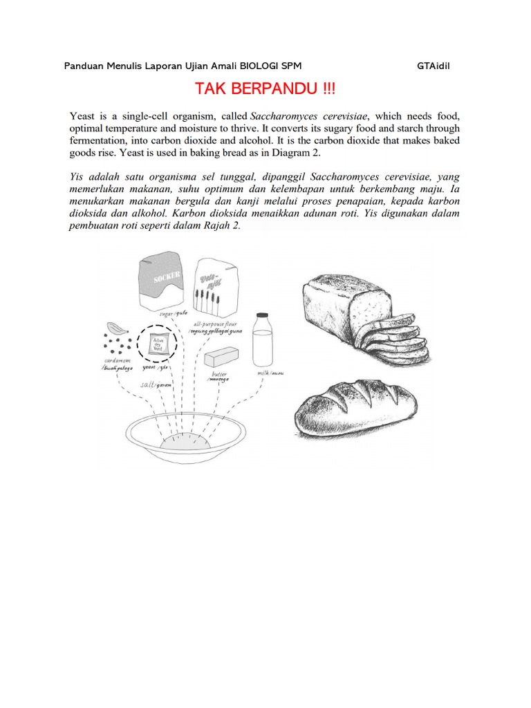 Amali BIO TAK Berpandu | PDF | Griya & Taman