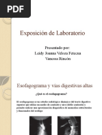 Estudio de Esófago Baritado: Función y Diagnóstico | PDF