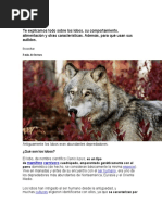 Lobos Continuemos Estudiando | PDF | Zoología