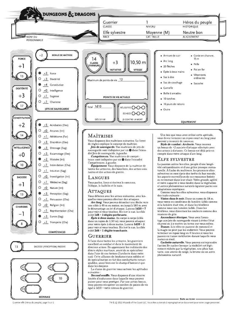 Donjon & Dragon - Fiche Personnage (Elfe Guerrier) | PDF