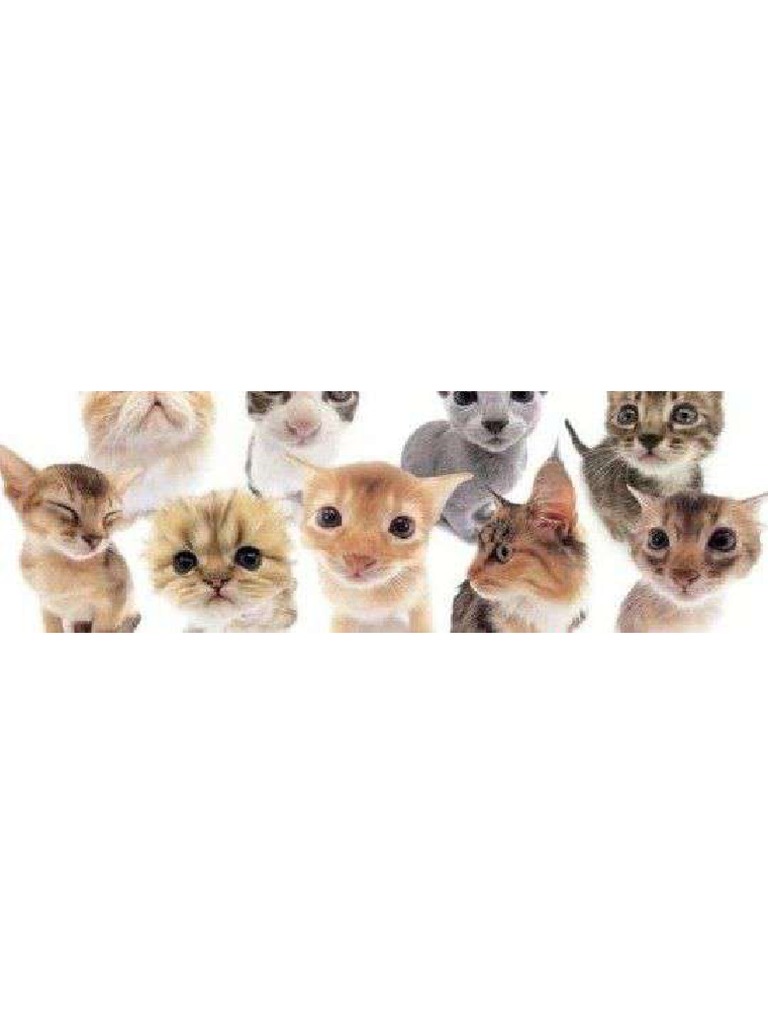 Tumblr 2ef6549b 540 | PDF