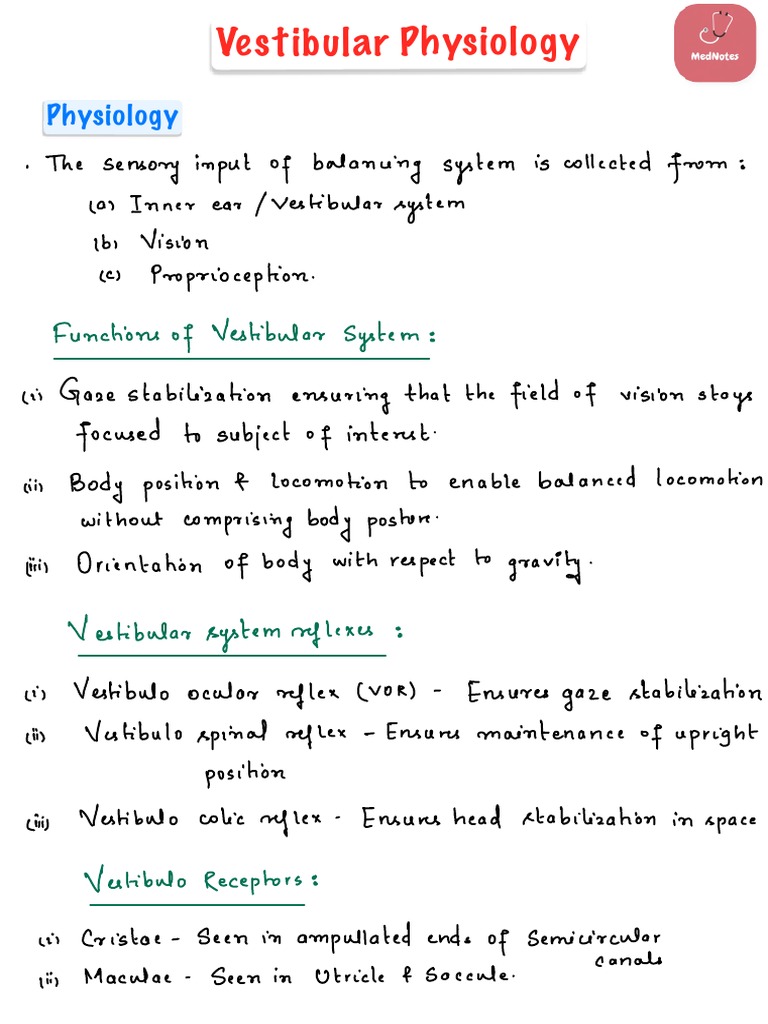 Vestibular Physiology PDF | PDF | Vestibular System | Anatomy