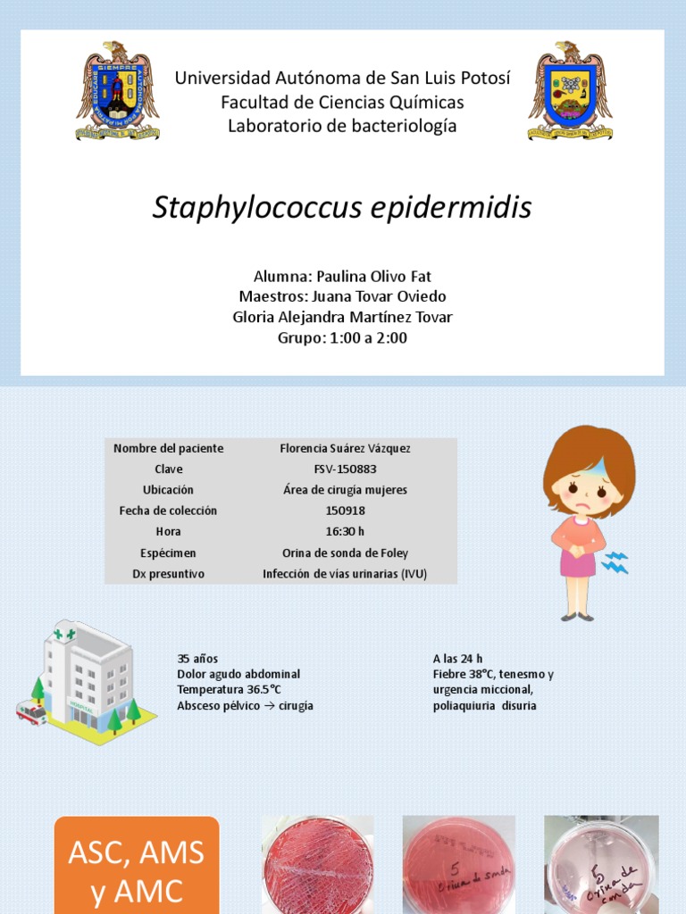 CASO 3 - Staphylococcus Epidermidis | PDF | Medicina | Bacterias Gram Positivas