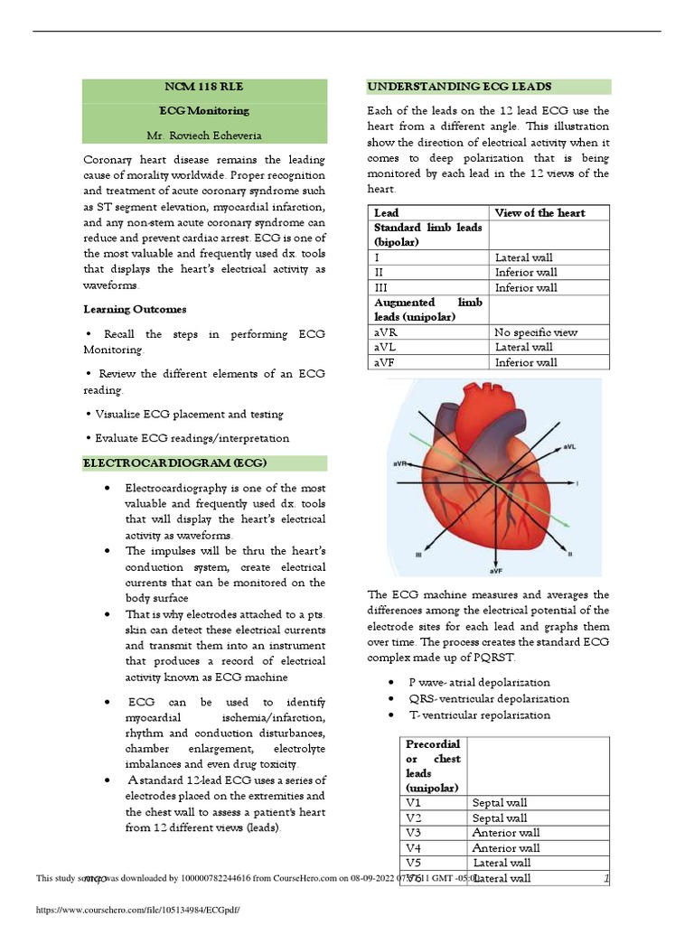 118 Rle Ecg PDF | PDF | Electrocardiography | Physiology