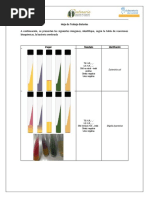 Pruebas Bioquimicas para Enterobacterias | PDF | Química | Las bacterias