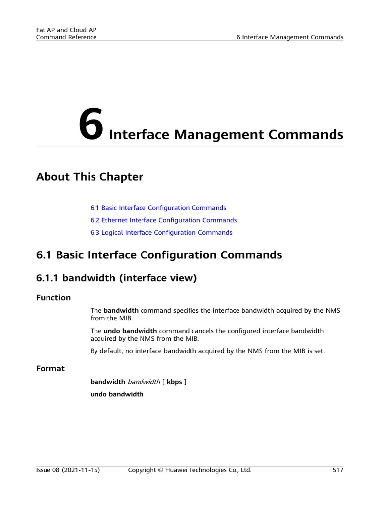01-06 Interface Management Commands PDF | PDF | Computer Architecture | Internet