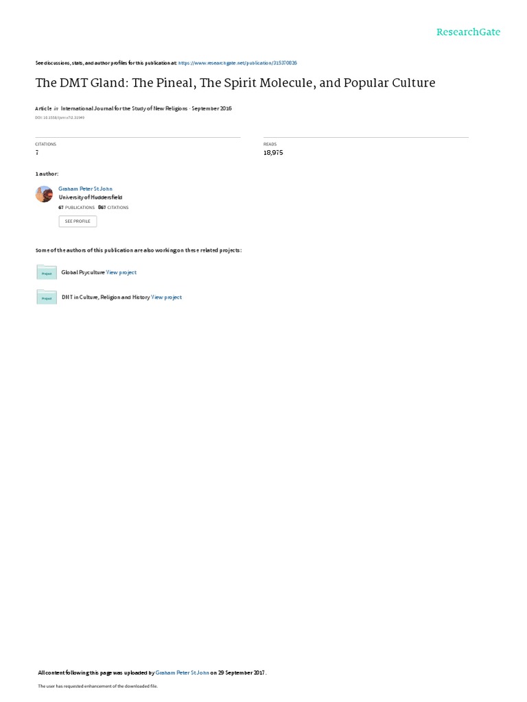 DMT - The Spirit Molecule | PDF | Psychedelic Drugs | Entheogen