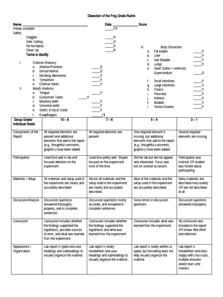 Dissection of The Frog Grade Rubric | PDF | Experiment | Anatomy