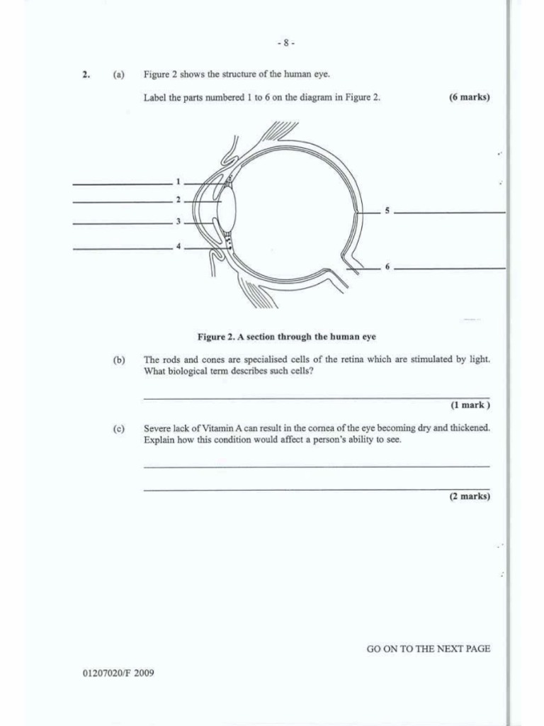 CSEC Biology - B7 PPQs PDF | PDF