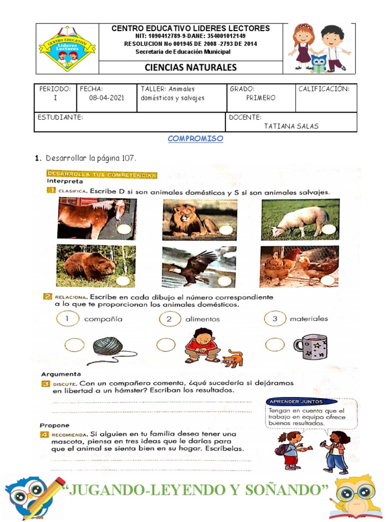 Animales Domesticos y Salvajes 1° | PDF