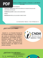 Funciones de las Visitadurías CNDH | PDF | Violación | Derechos humanos