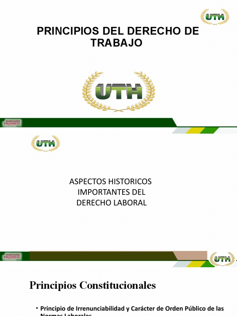 Principios Del Derecho De Trabajo Pdf Derecho Laboral Gobierno