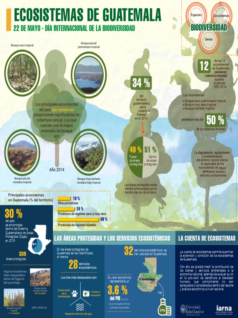 Infograf A Ecosistemas D A Biodiversidad FINAL | PDF | Los bosques | Ecosistema