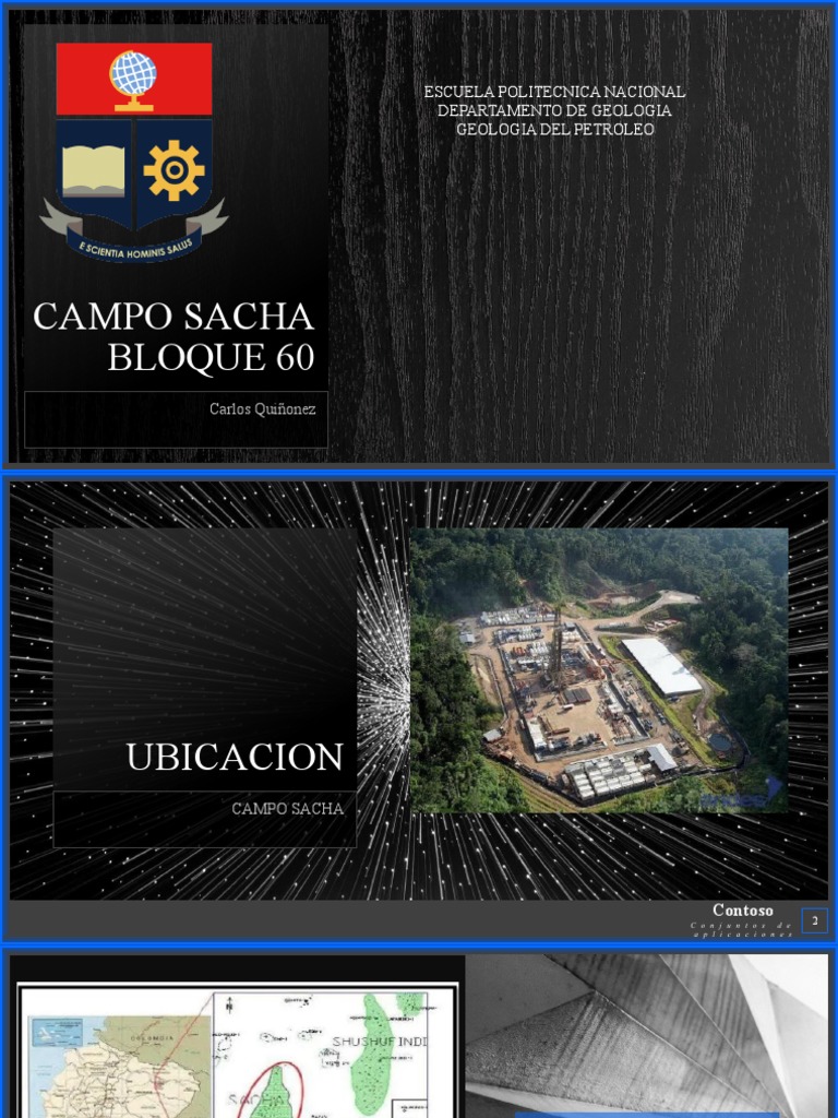 Campo Sacha | PDF | Petróleo | Sustancias químicas