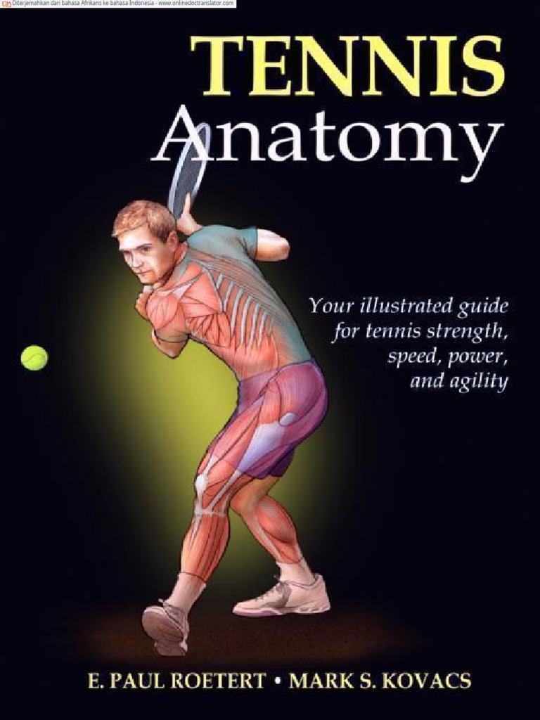 Tennis Anatomy Translate PDF | PDF