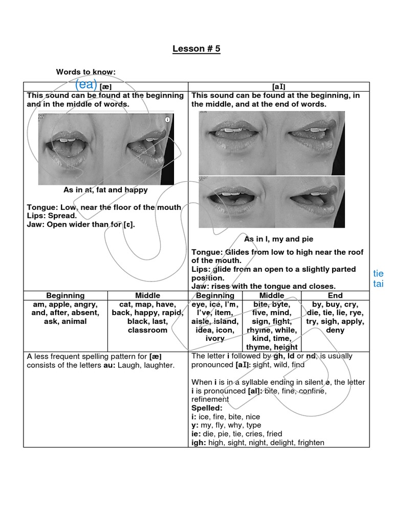 Phonetic Analysis of Vowel Sounds [æ], [aI], and Minimal Pair Practice ...