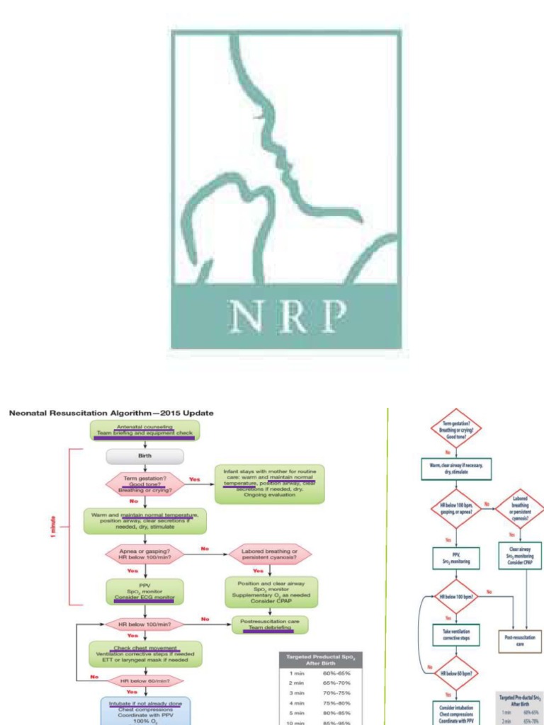 NRP New | PDF