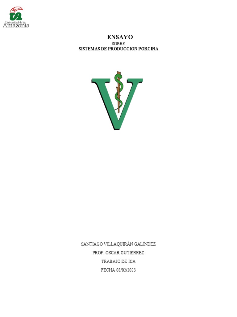 Ensayo Producc Porcinos Ica | PDF | Carne | Cerdo