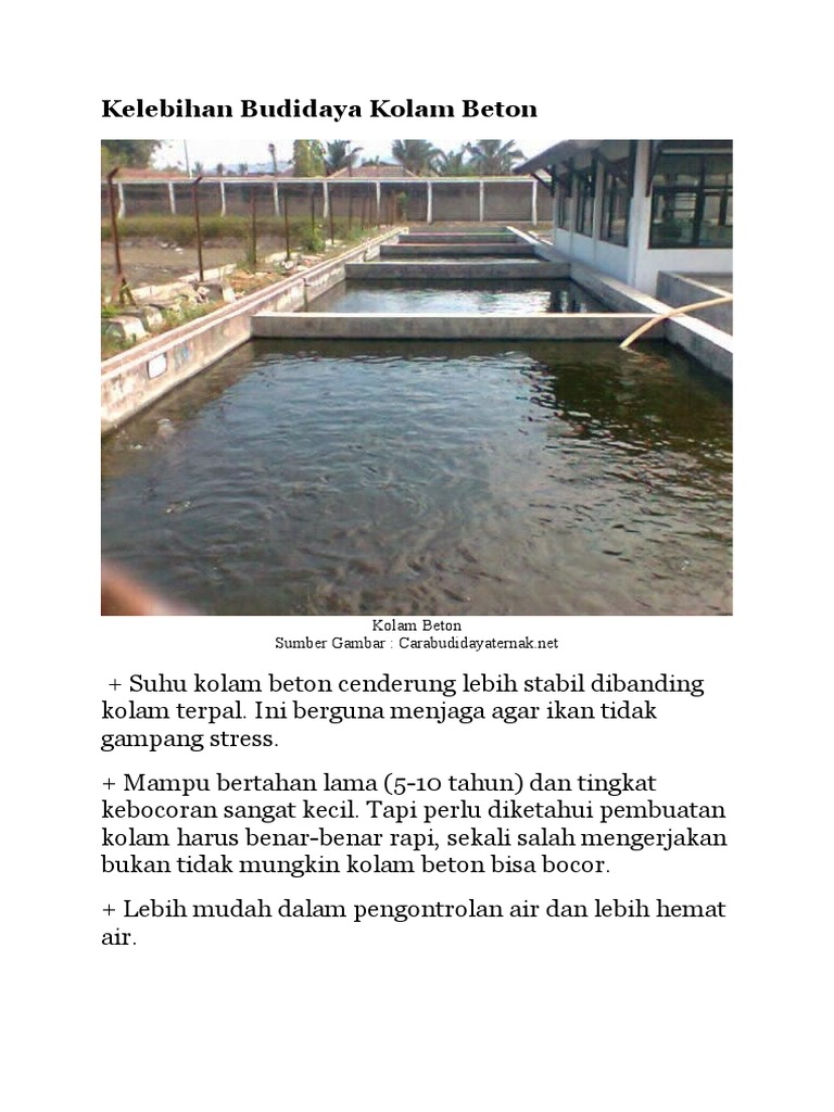 Kelebihan Budidaya Kolam Beton | PDF | Griya & Taman | Sains & Matematika