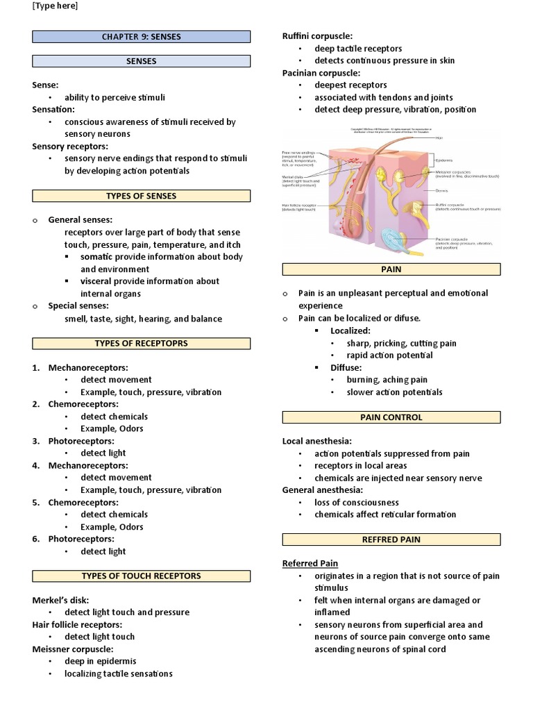 Chapter 9 Senses Reviewer | PDF | Ear | Senses