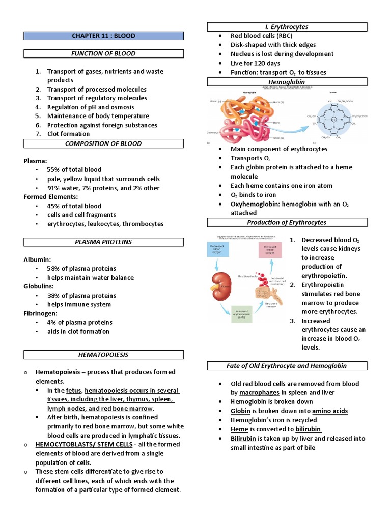 Overview of Blood Functions and Composition | PDF | Platelet | White ...