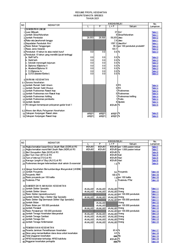 ISIAN DATA PROFIL KES 2021 diare | PDF