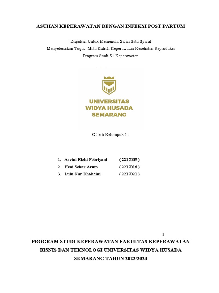 Asuhan Infeksi Post Partum | PDF | Pengembangan Diri | Kesehatan Holistik