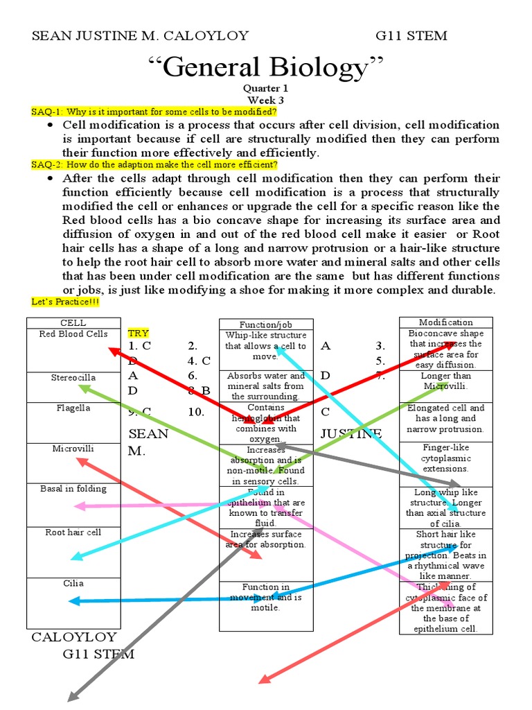 General Biology 3 | PDF | Meiosis | Chromosome