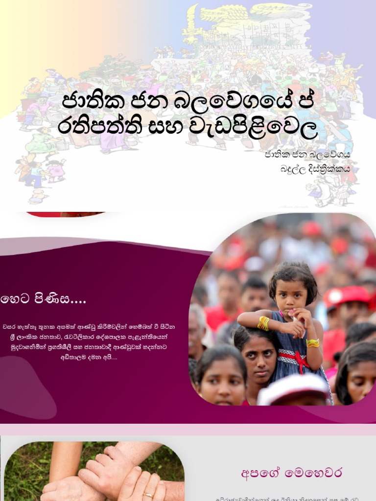 NPP Policy | PDF