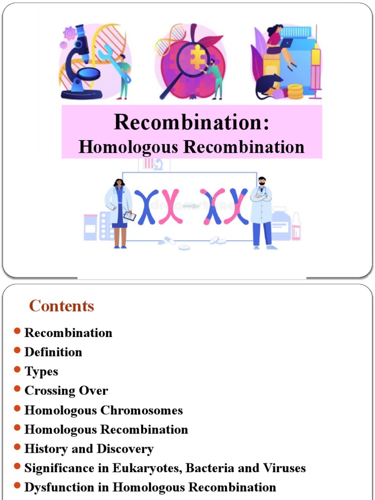 Lecture Recombination - Homologous Recombination (Final) | PDF | Genetic Recombination | Genetics