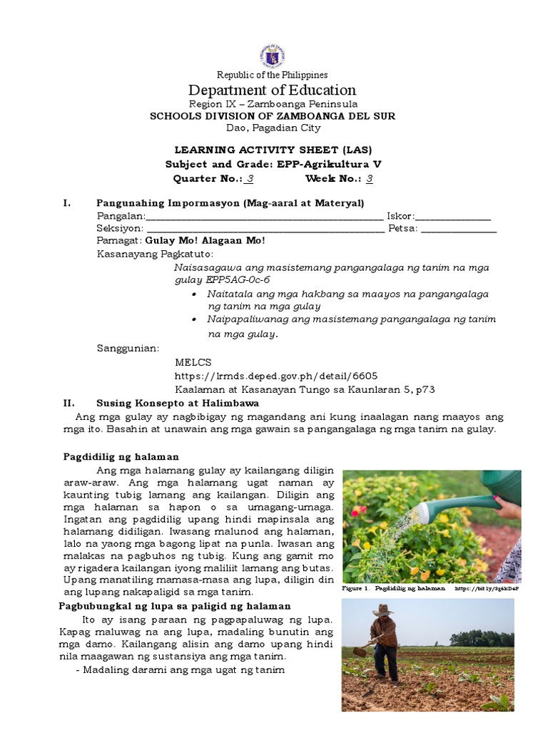 Epp 5 Ag Deocampo Molaveeast Las Edited | PDF