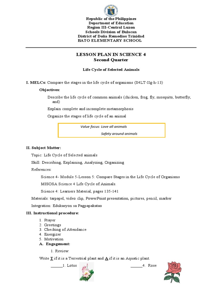 Batoes - Abando, Samuel T - Science Semi Detailed Lesson Plan | PDF ...
